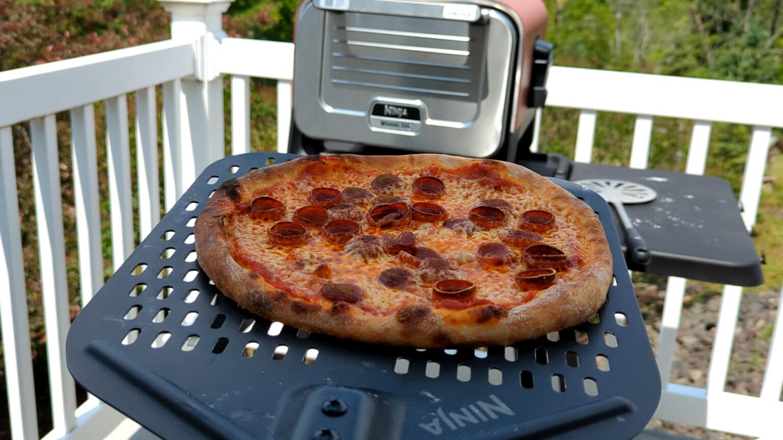 Review: Ninja Woodfire Outdoor Pizza Oven - Pala Pizza Ovens